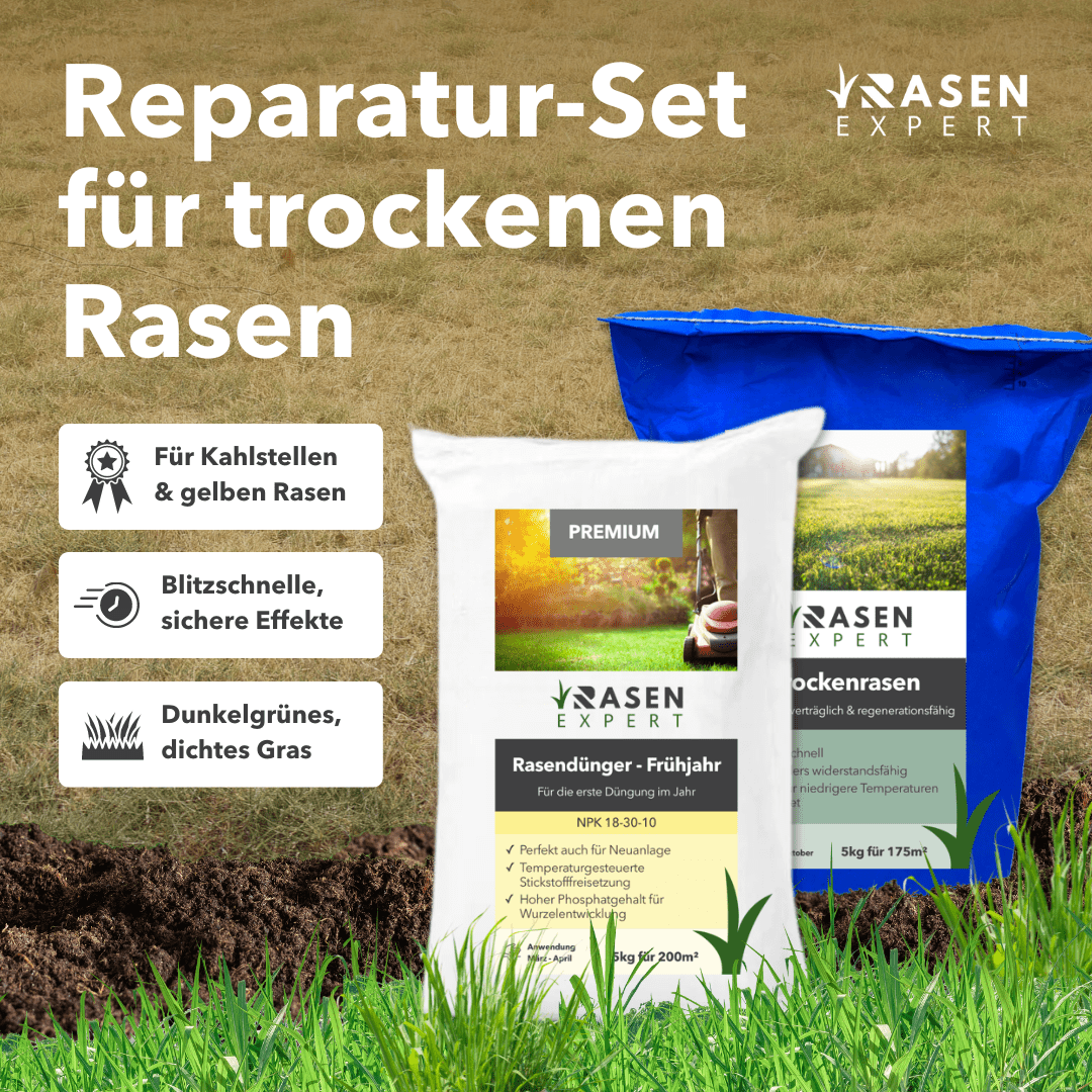 Vorfuhrungszeiten Fur Auf Trockenen Grasern