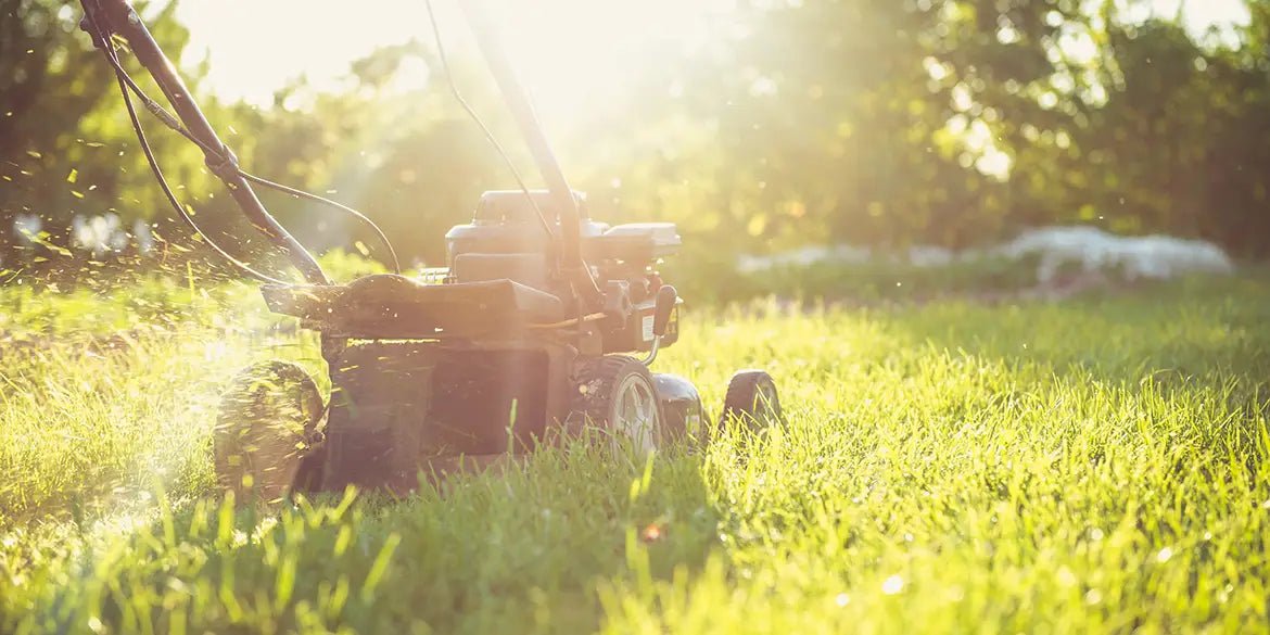 Rasen mähen und Rasen vertikutieren am gleichen Tag: Geht das ...